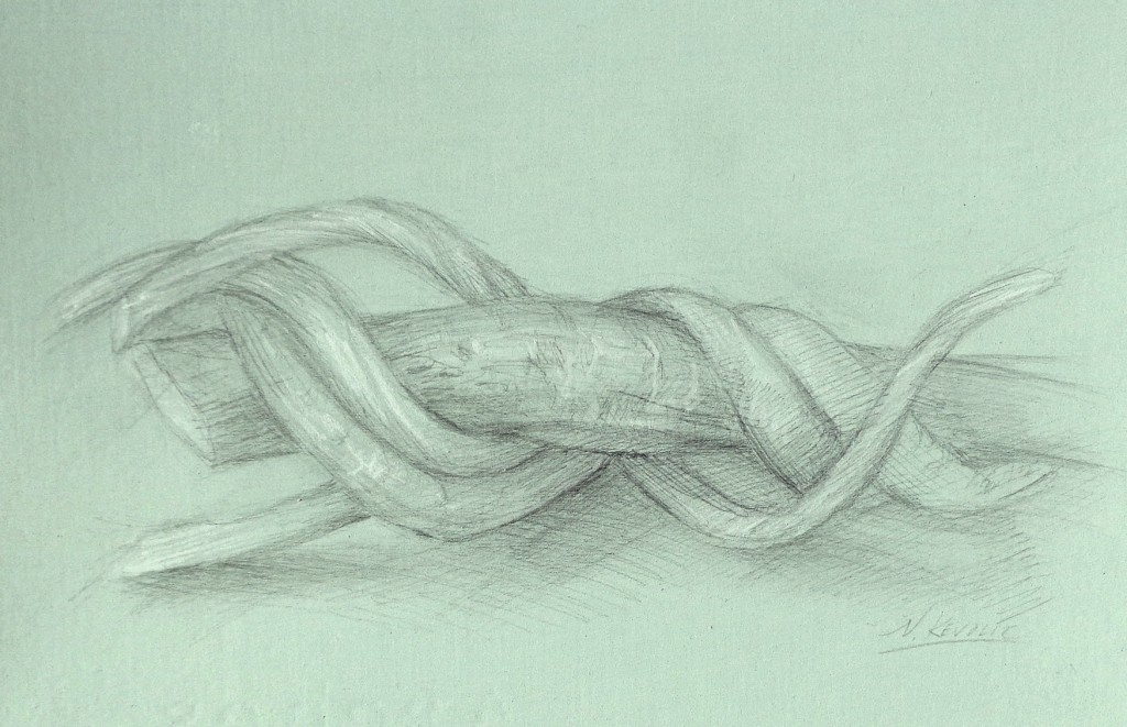 “Twisted” silverpoint drawings